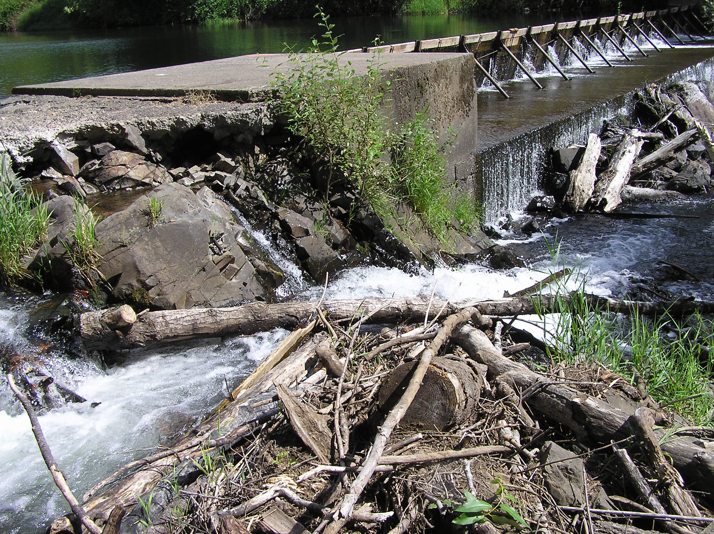 Bowers Rock State Park - Calapooia Watershed Council